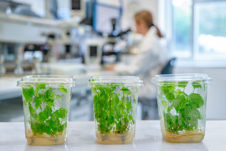 Wine analysis – Affinity Labs