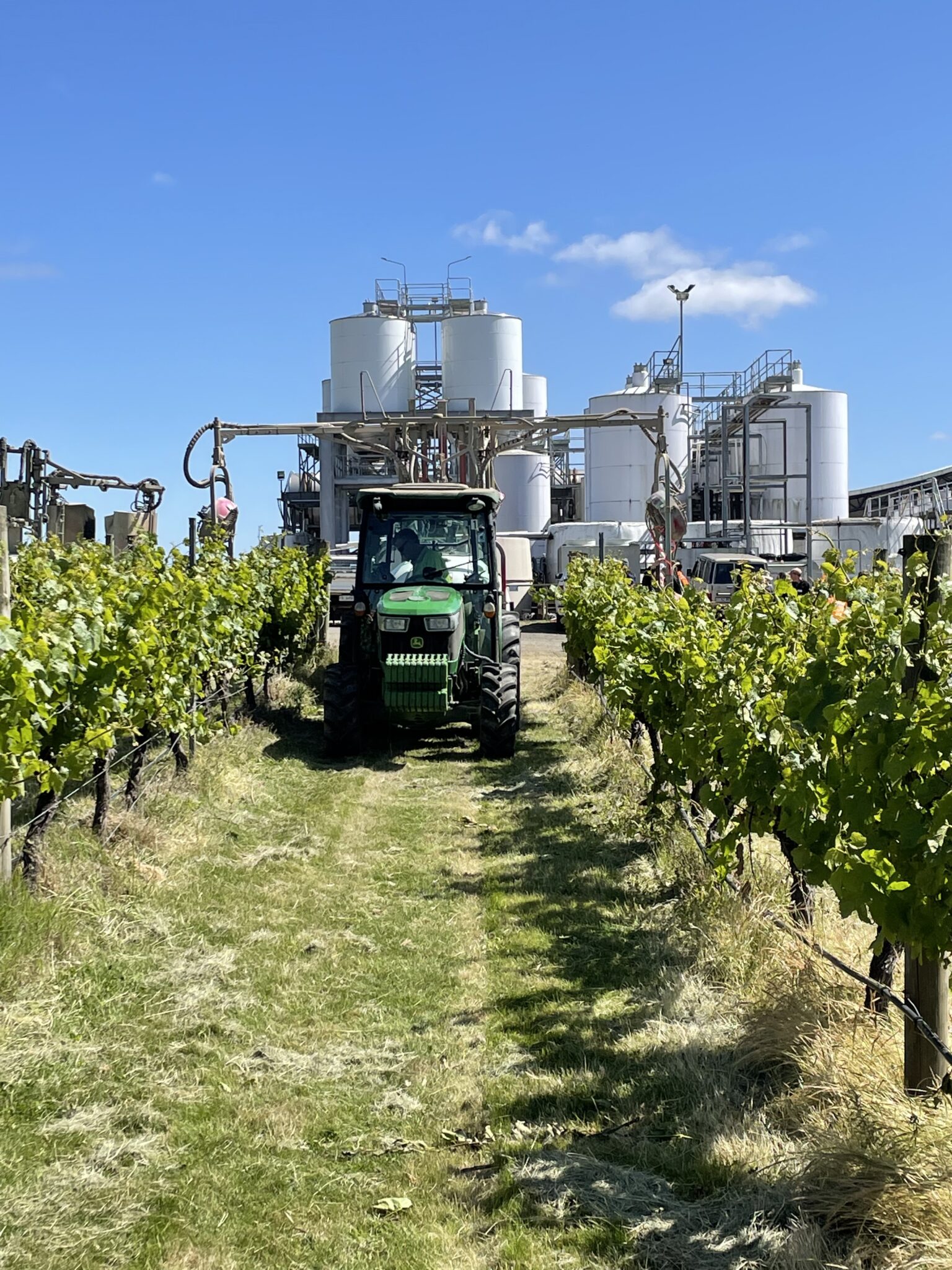 Wine analysis – Affinity Labs